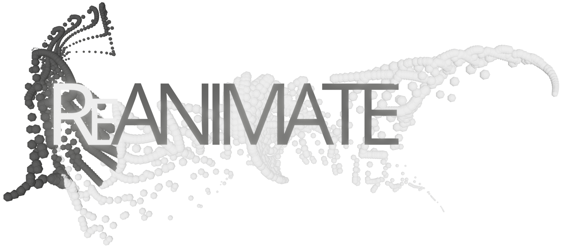 Links – ReAnimate.xyz